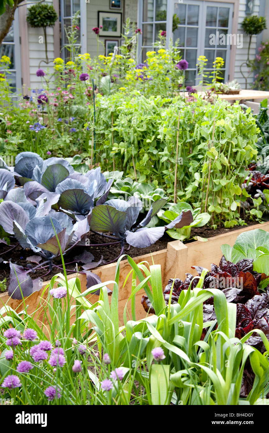 Rhs chelsea flower show -Fotos und -Bildmaterial in hoher Auflösung – Alamy
