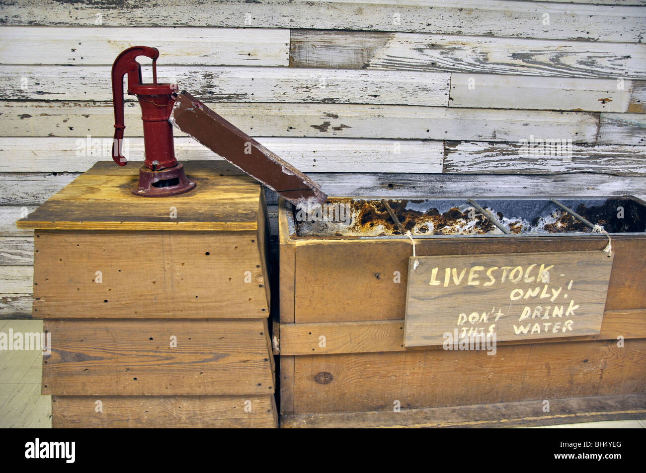 Trog für tiere -Fotos und -Bildmaterial in hoher Auflösung – Alamy