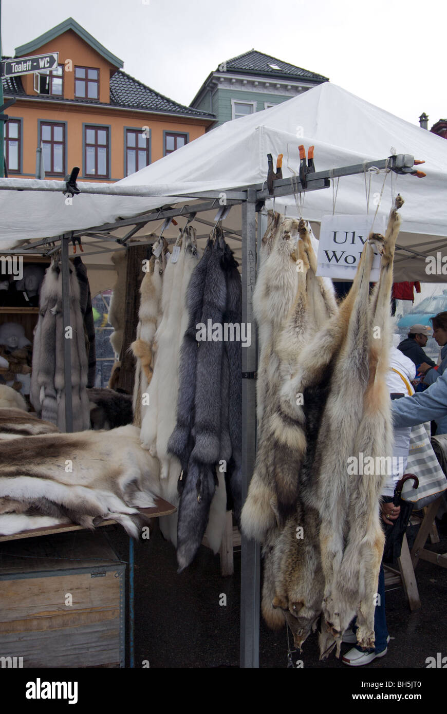 Wolf skins -Fotos und -Bildmaterial in hoher Auflösung – Alamy