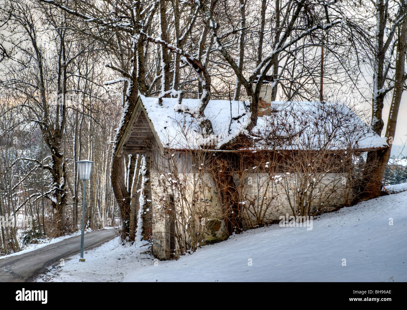 Alten schneebedeckte Hütte mit Bäume und Äste, die durch das Dach ...