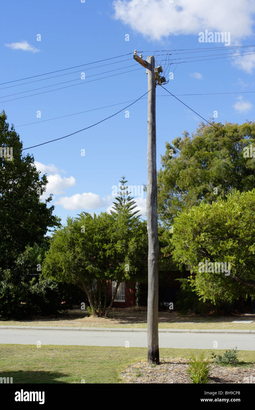 Strommast, hergestellt aus einem Baumstamm in Western Australia ...