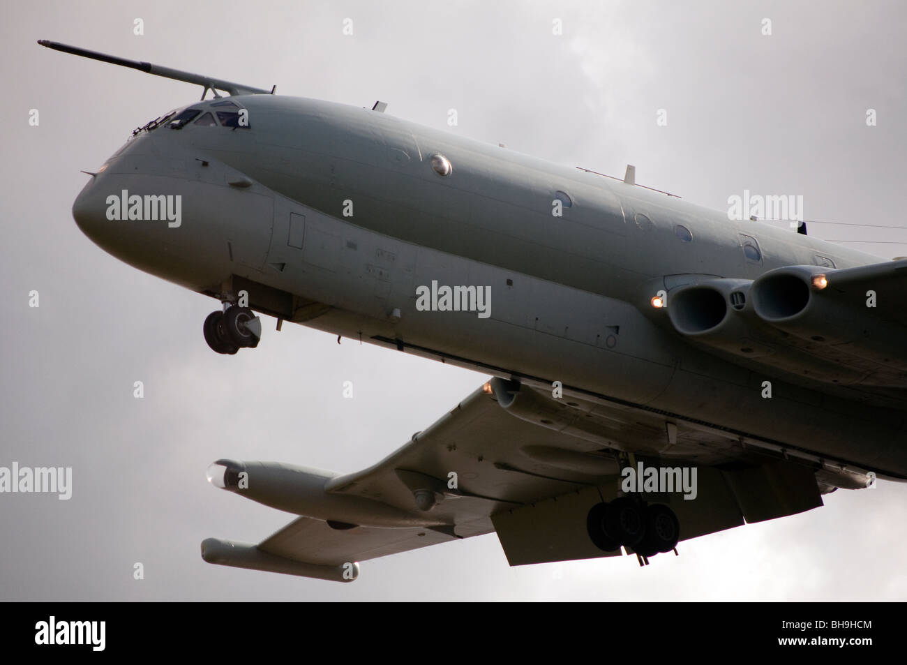 Mr2 nimrod -Fotos und -Bildmaterial in hoher Auflösung – Alamy