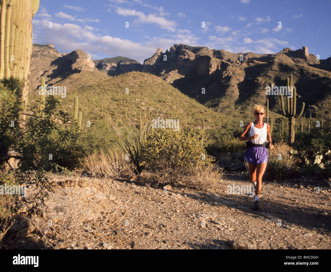 Pamela reed -Fotos und -Bildmaterial in hoher Auflösung – Alamy