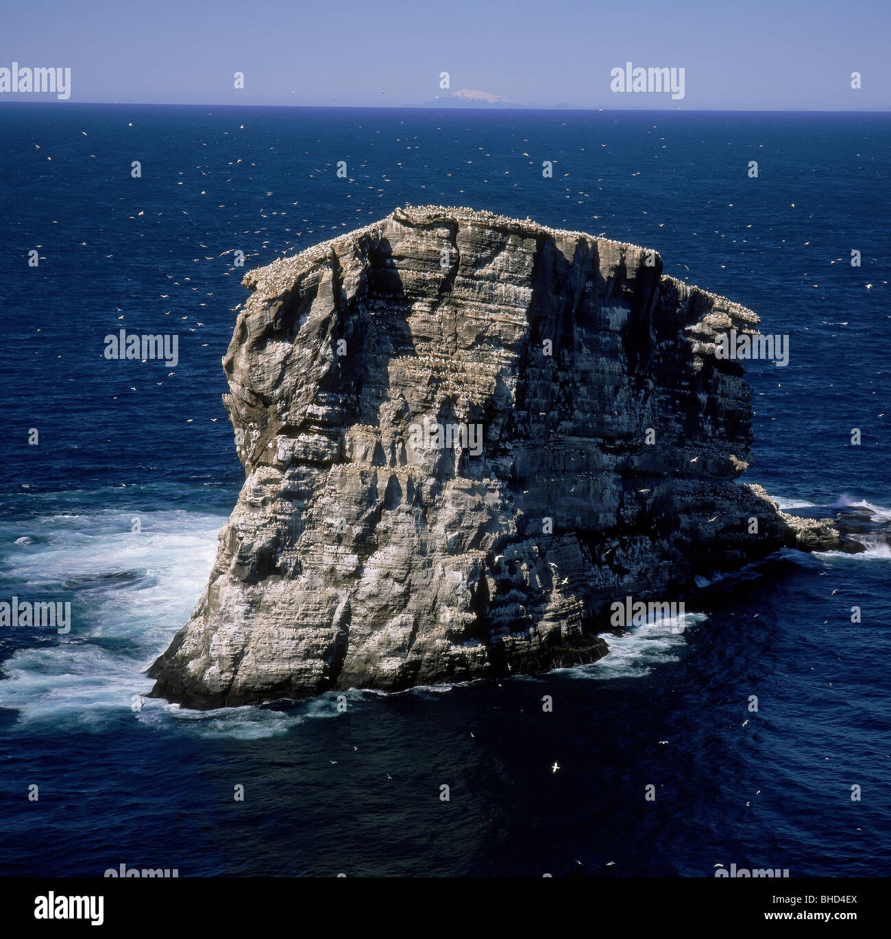 Bird island eldey -Fotos und -Bildmaterial in hoher Auflösung – Alamy