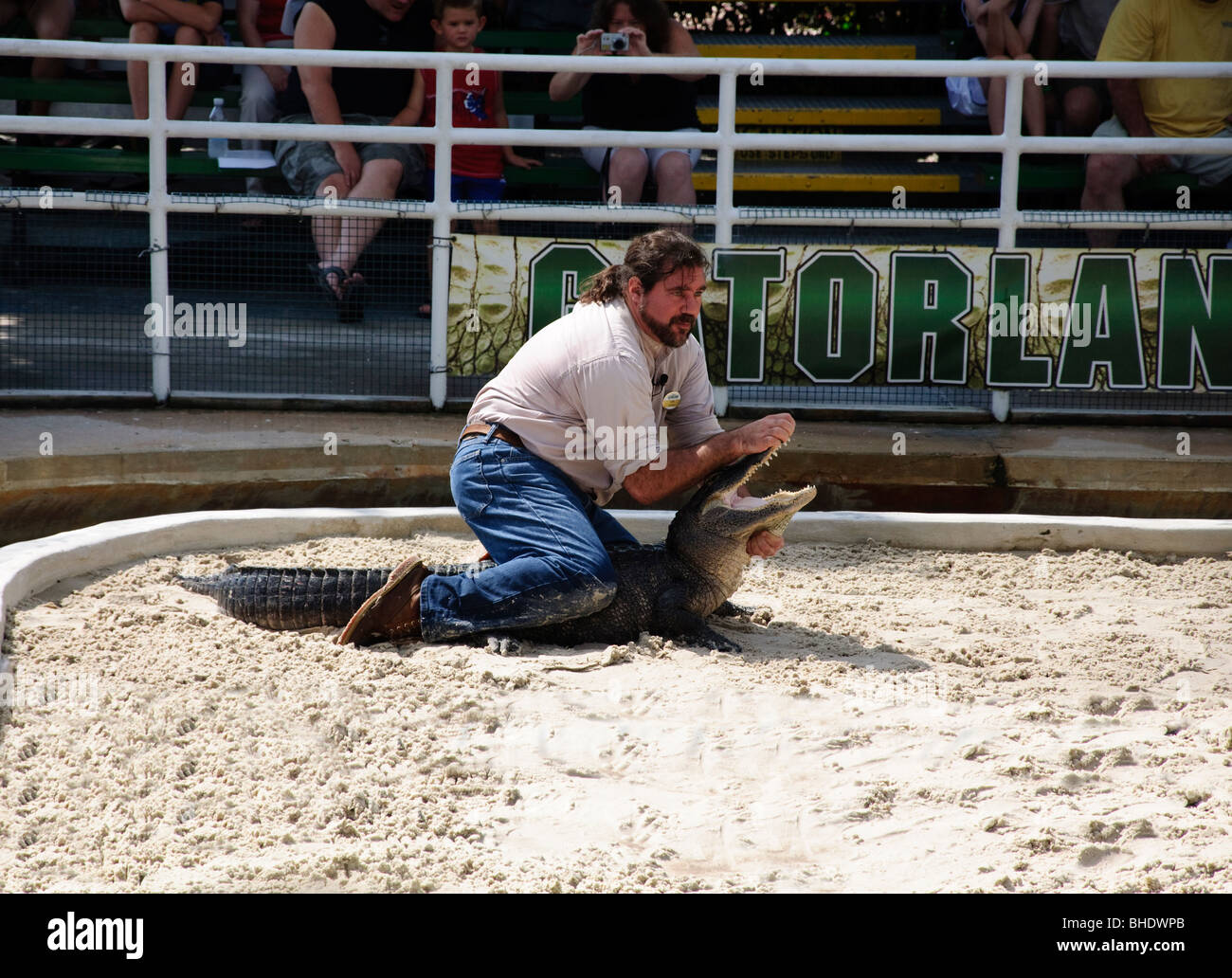 Alligator wrestling -Fotos und -Bildmaterial in hoher Auflösung – Alamy