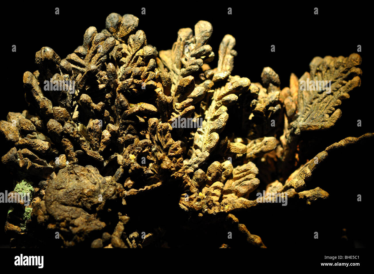 Nahaufnahme kupfer metall -Fotos und -Bildmaterial in hoher Auflösung ...