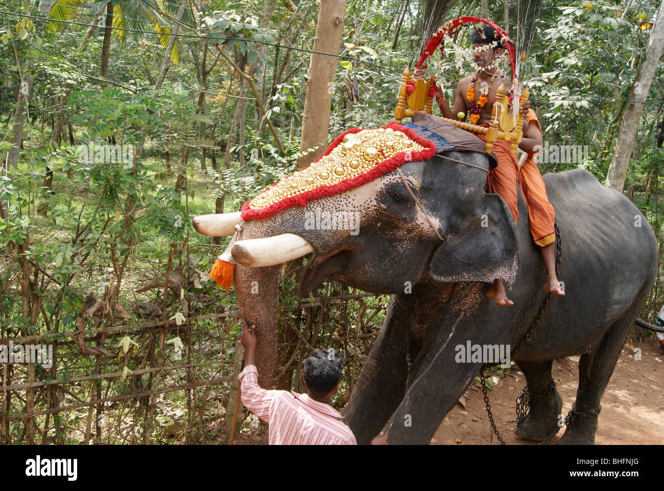 Indien kavadiszene -Fotos und -Bildmaterial in hoher Auflösung – Alamy