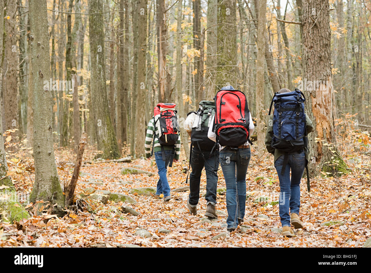 Forest hiking -Fotos und -Bildmaterial in hoher Auflösung – Alamy