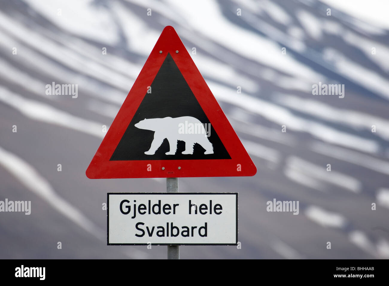 Svalbard traffic sign -Fotos und -Bildmaterial in hoher Auflösung – Alamy