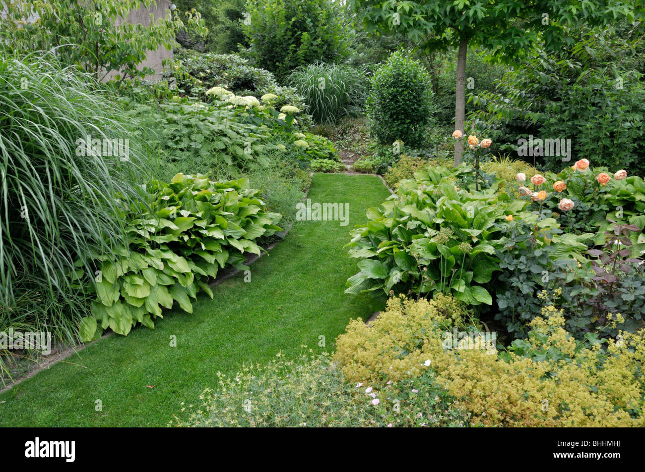 Path grass border -Fotos und -Bildmaterial in hoher Auflösung – Alamy
