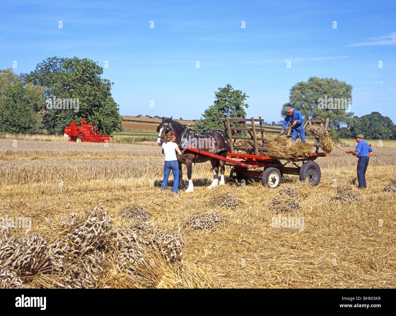 1940er jahre stil -Fotos und -Bildmaterial in hoher Auflösung – Alamy