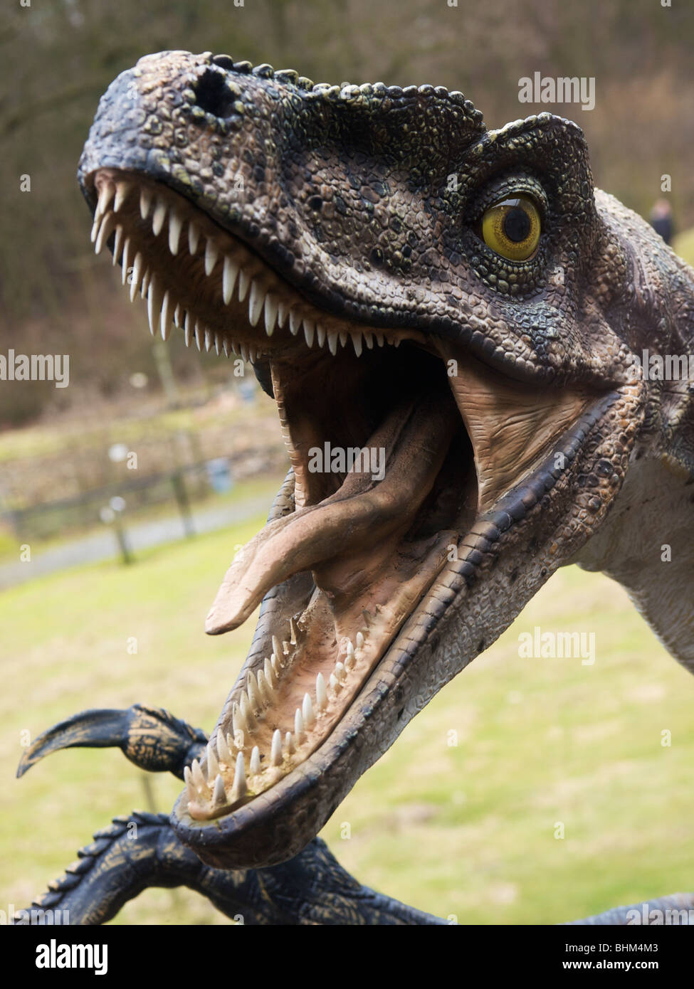 Realistisch aussehendes dinosaurier modell -Fotos und -Bildmaterial in ...