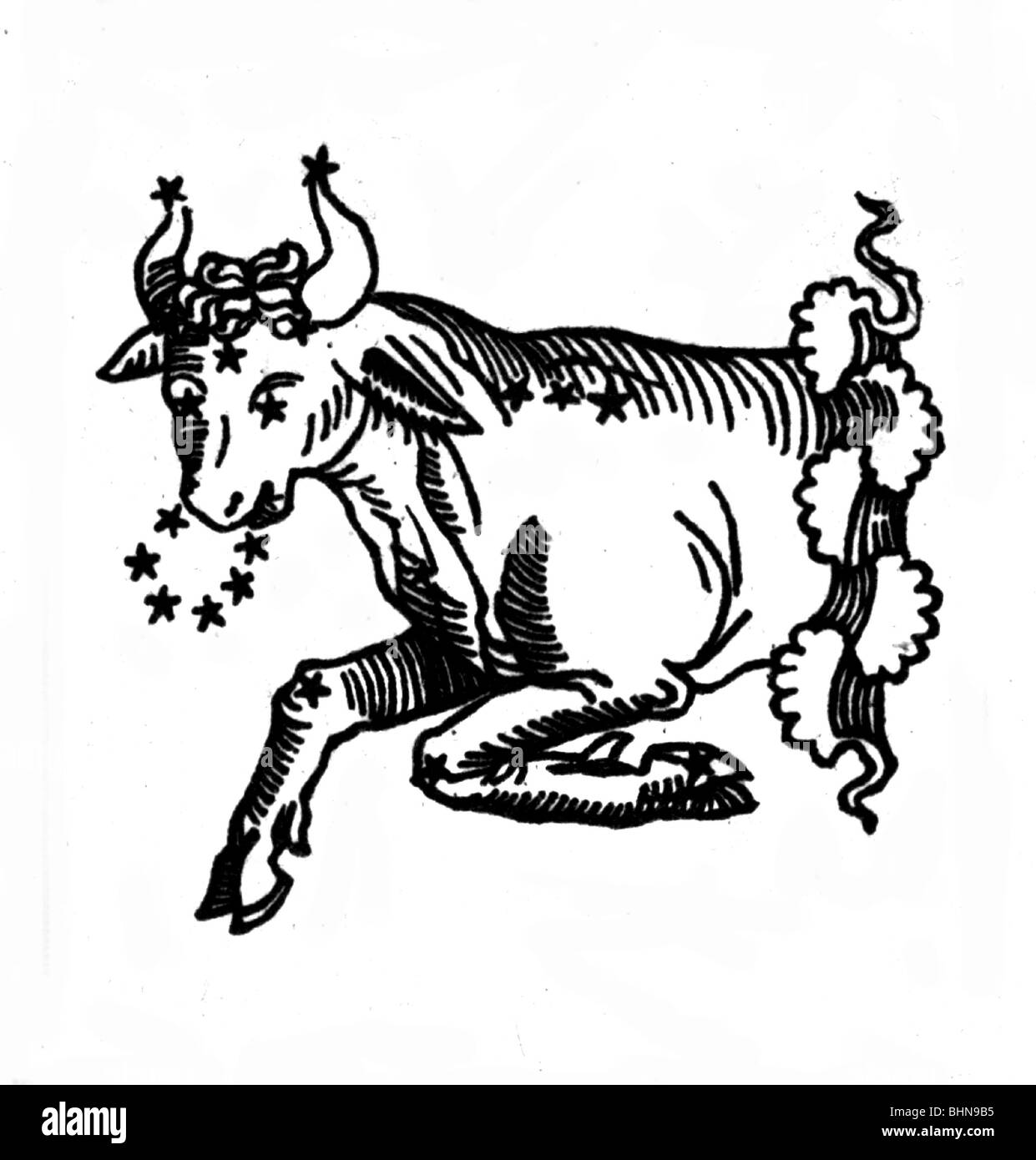 Stier sternzeichen -Fotos und -Bildmaterial in hoher Auflösung – Alamy