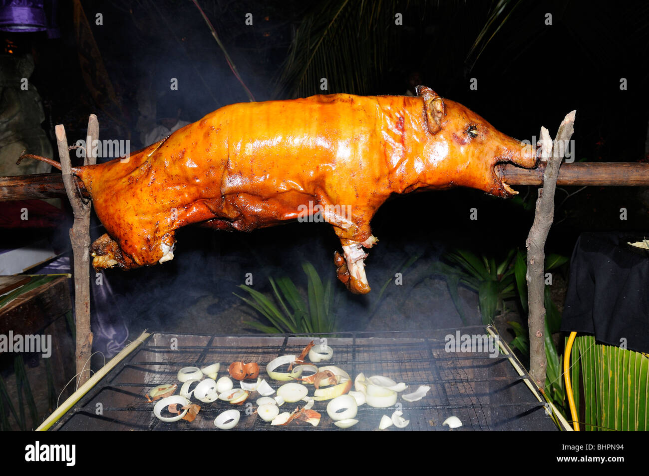 Suckling pig bali -Fotos und -Bildmaterial in hoher Auflösung – Alamy