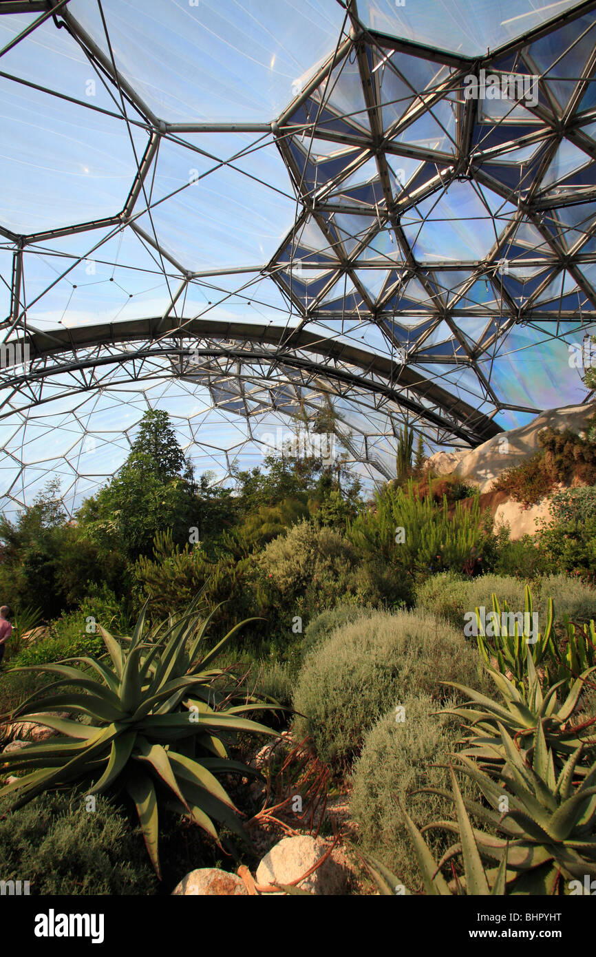 Mittelmeer-Biom, zeigt Pflanzen, Eden Project, St. Austell, Cornwall ...