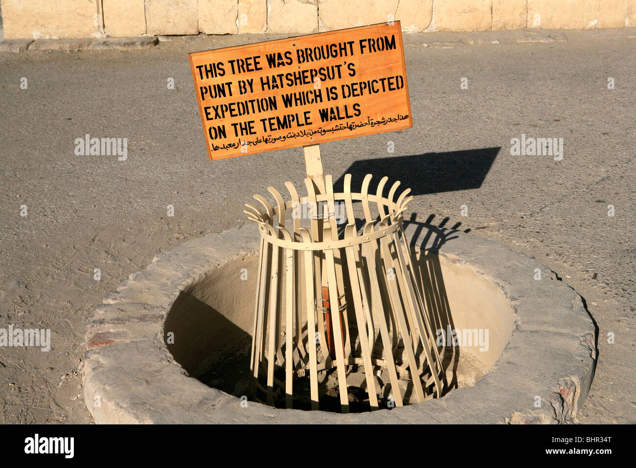 Queen hatshepsut punt -Fotos und -Bildmaterial in hoher Auflösung – Alamy