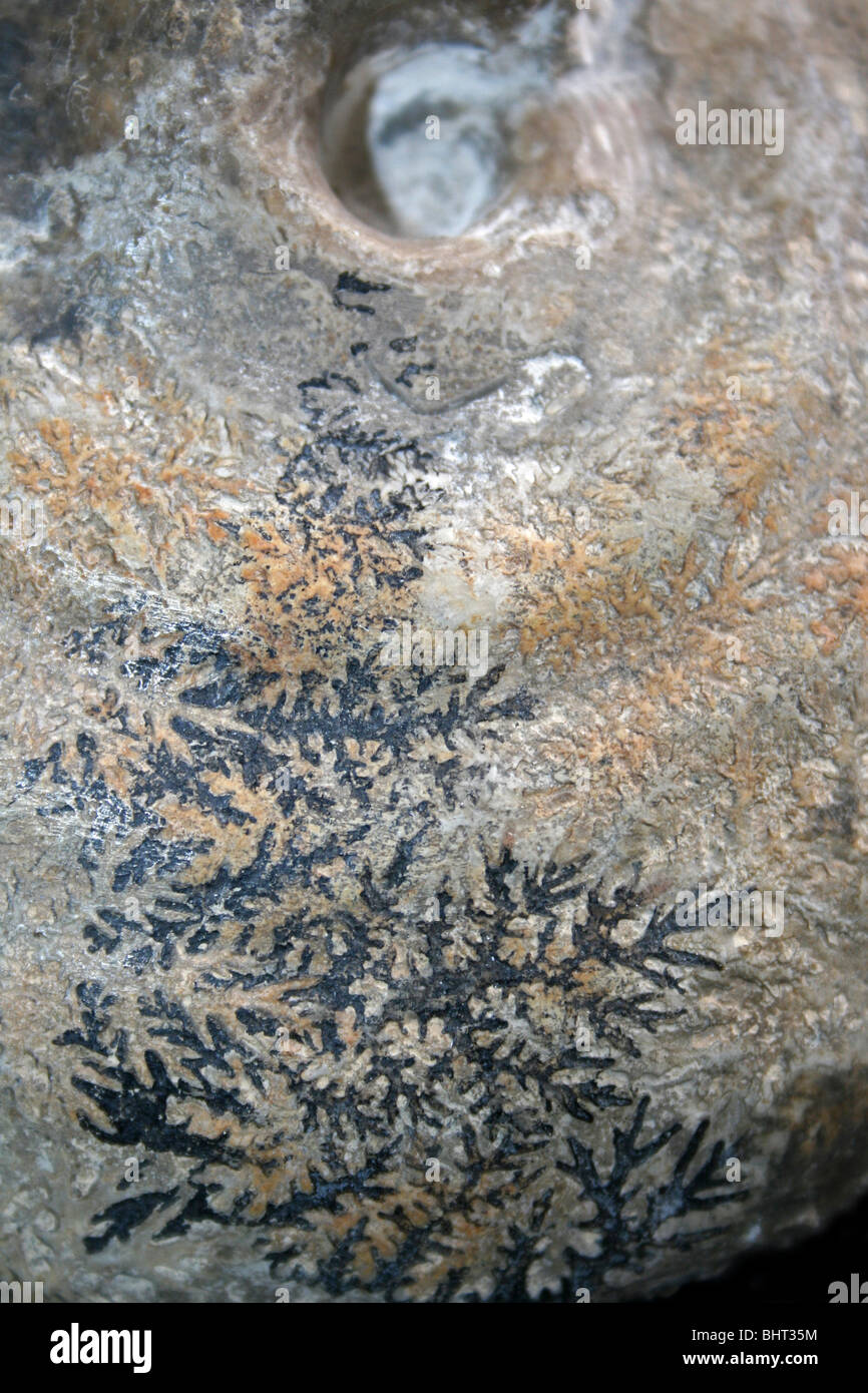 Mit naht -Fotos und -Bildmaterial in hoher Auflösung – Alamy