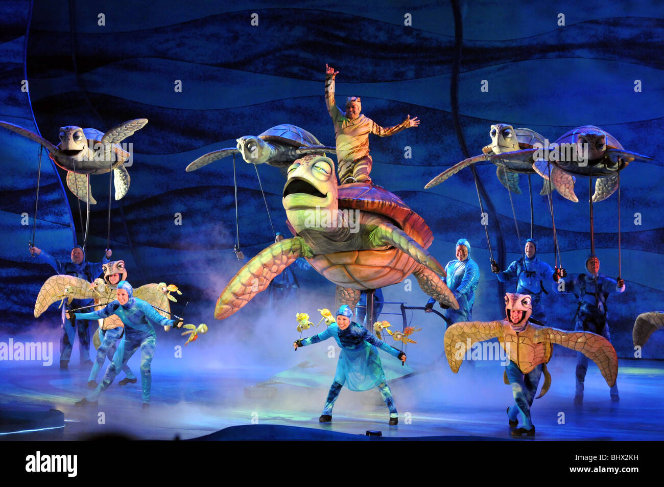 Finding nemo -Fotos und -Bildmaterial in hoher Auflösung – Alamy