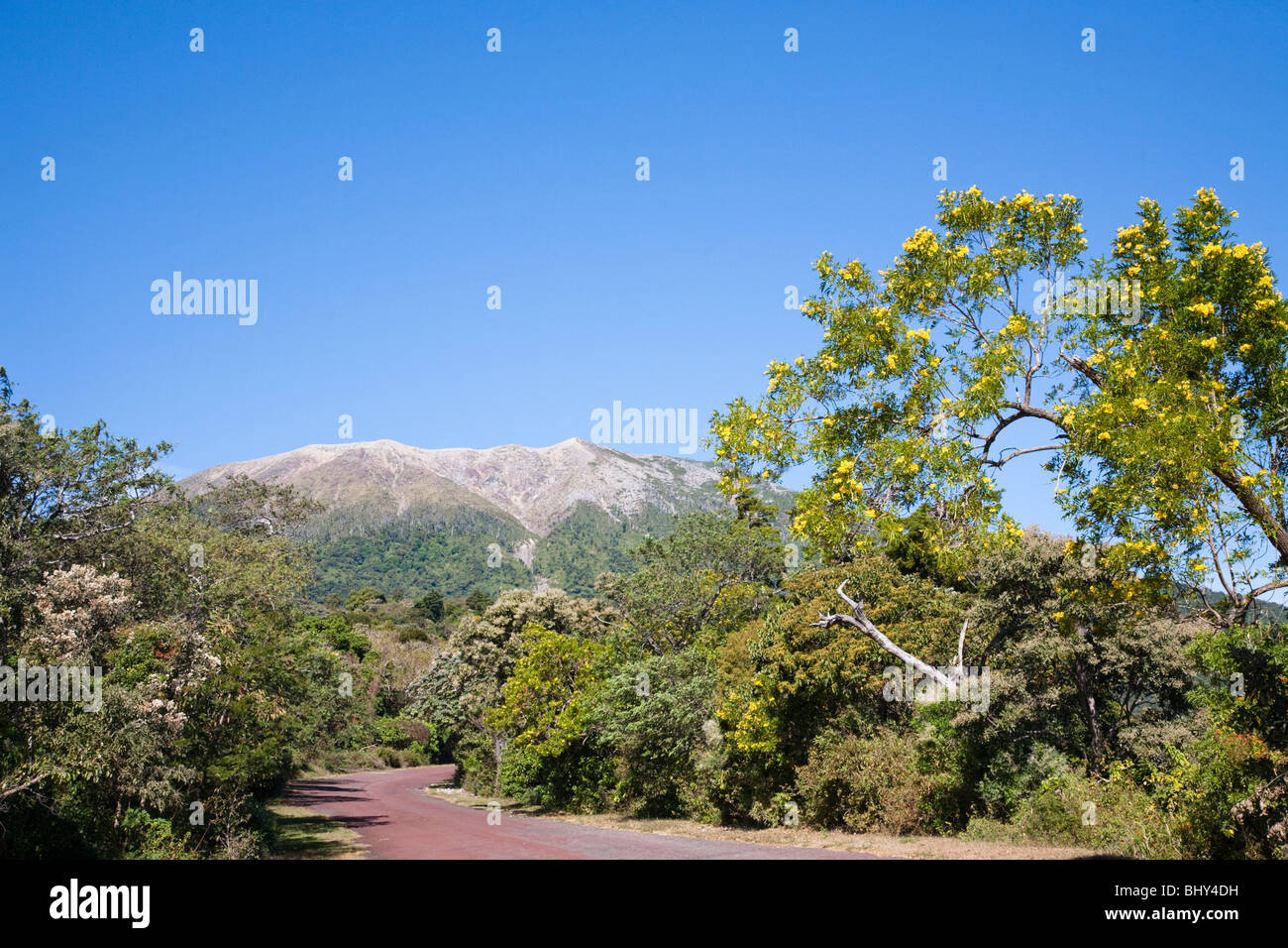 Parque nacional cerro verde -Fotos und -Bildmaterial in hoher Auflösung ...