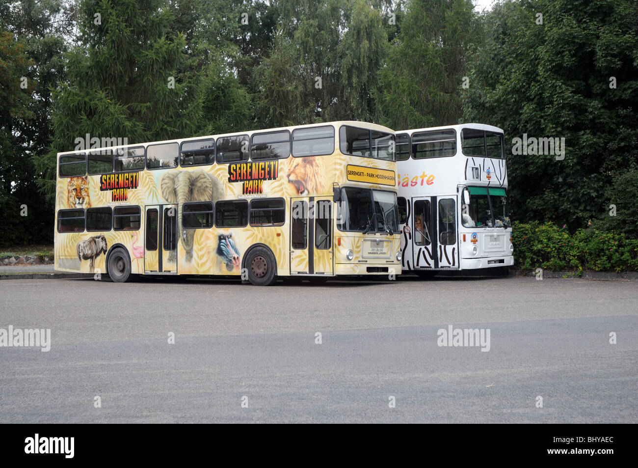 "Safari" Busse im Serengeti-Park Hodenhagen, Deutschland ...