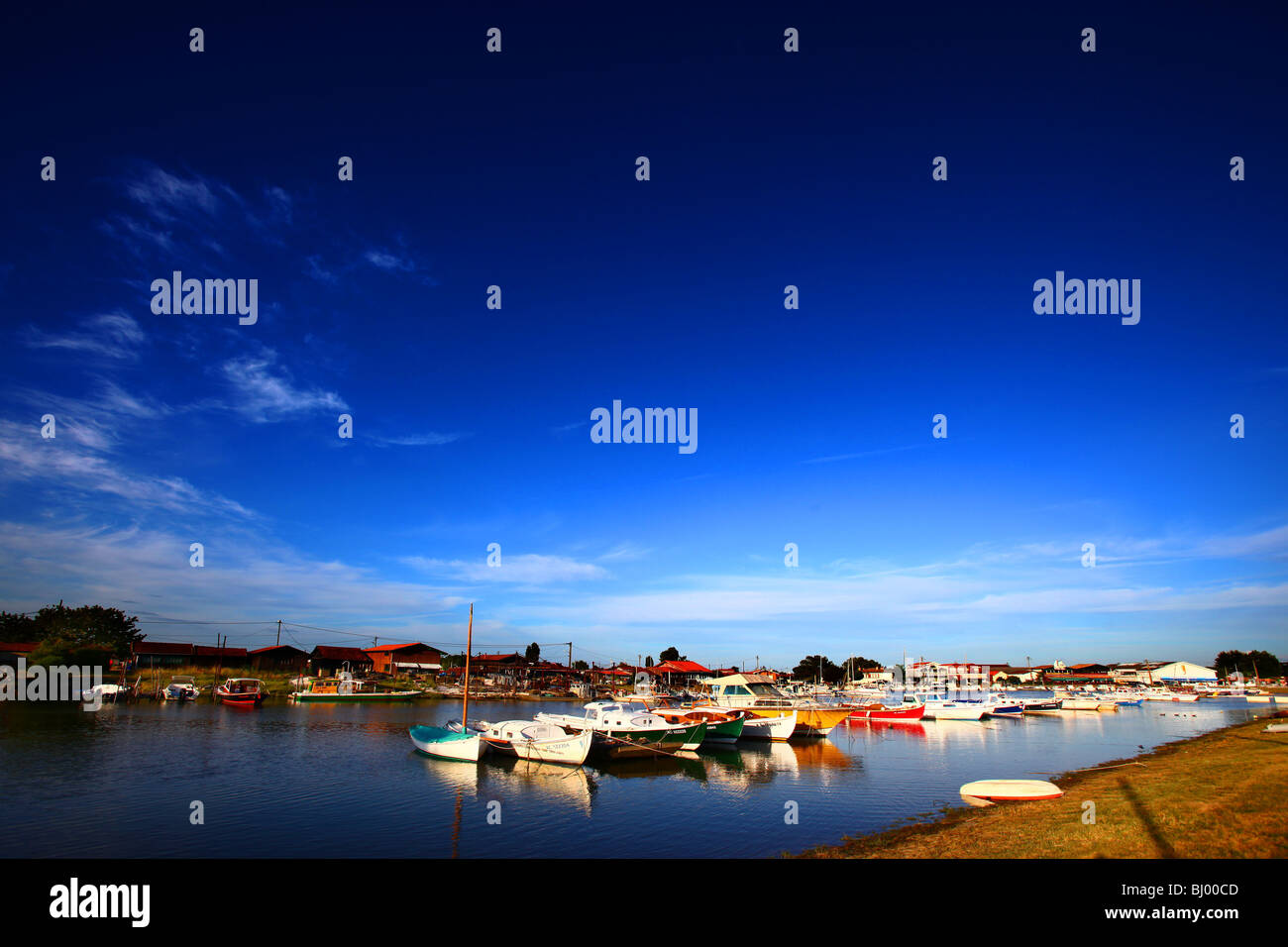 Teste de buch -Fotos und -Bildmaterial in hoher Auflösung – Alamy
