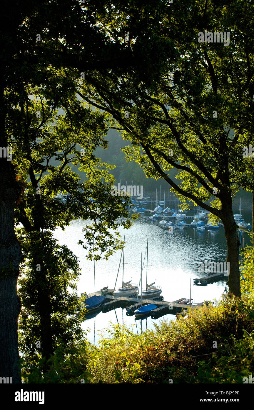 Naturpark Hohes Venn-Eifel Eifel, Rursee, Rurtalsperre, Boote, Marina ...