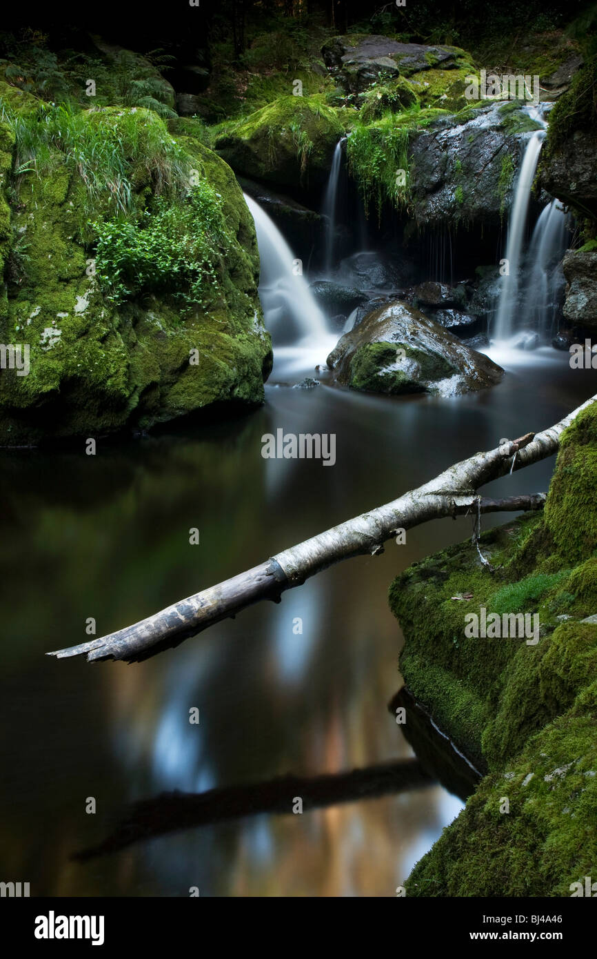 Wasserfall in der Steinklamm Schlucht, Nationalpark Bayerischer Wald ...