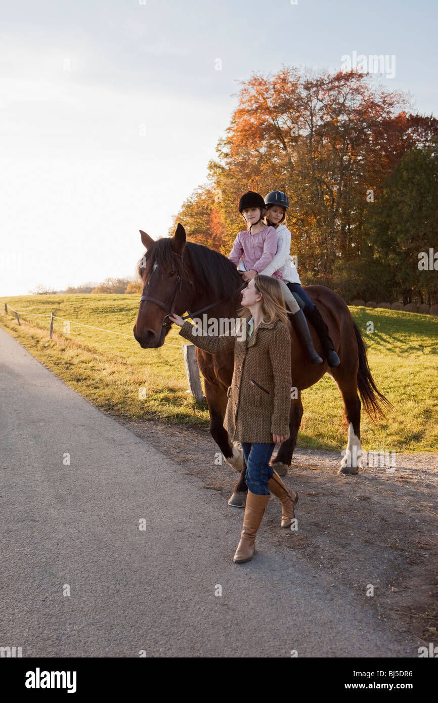 Zwei Pferd Stockfotos und -bilder Kaufen - Alamy