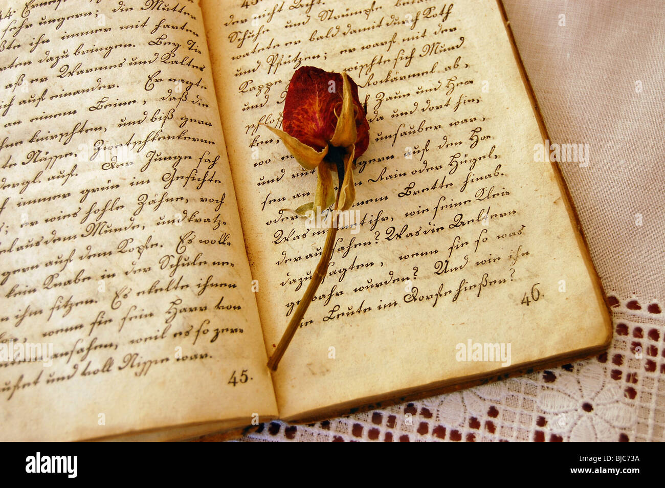 Ink drawing single rose -Fotos und -Bildmaterial in hoher Auflösung – Alamy