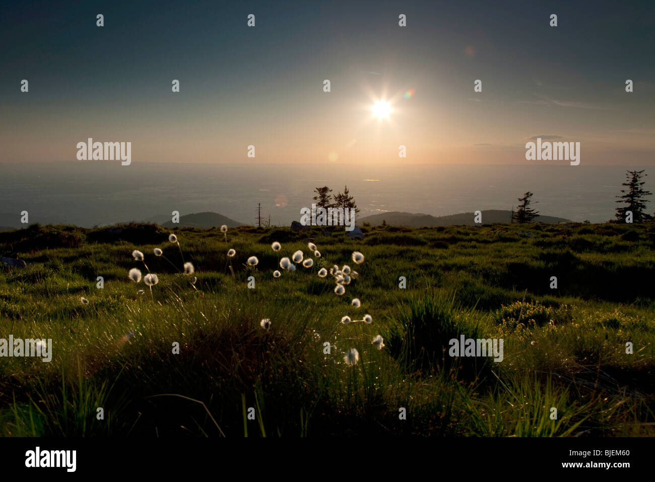 Hornisgrinde germany -Fotos und -Bildmaterial in hoher Auflösung – Alamy