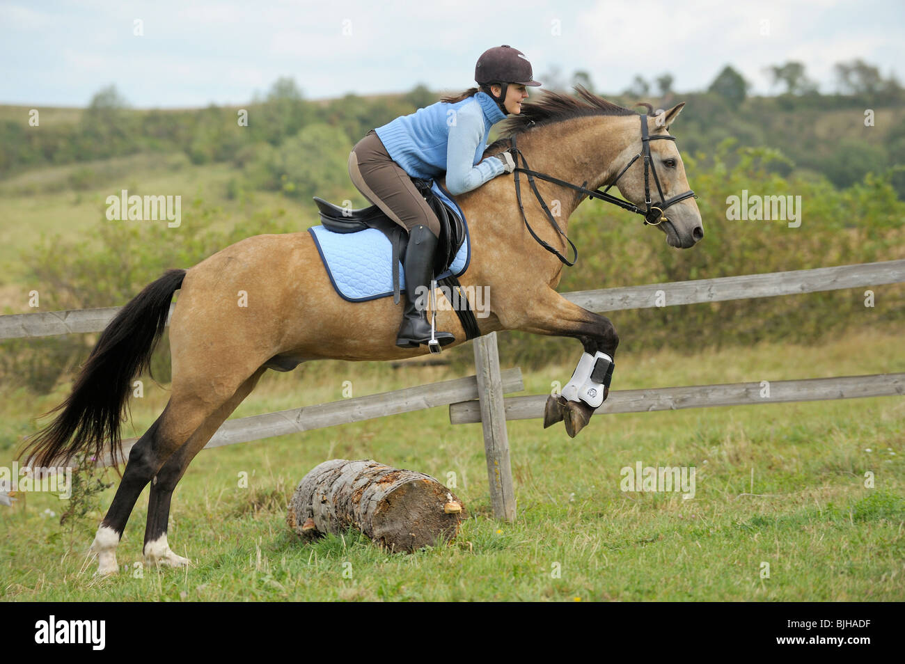 Connemara-Pony. Ein junger Reiter springt auf einem munter Pferd auf ...