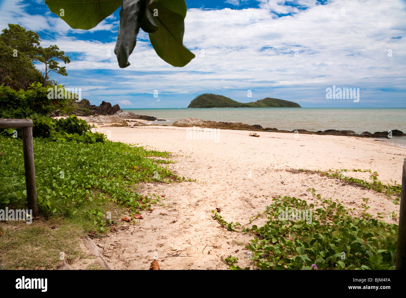 Beach sand plants island in -Fotos und -Bildmaterial in hoher Auflösung ...