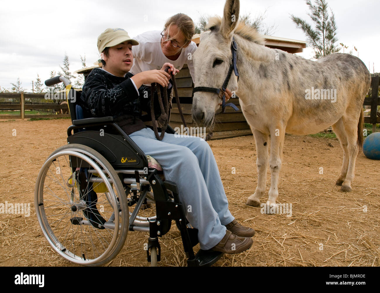 Therapie mit eseln -Fotos und -Bildmaterial in hoher Auflösung – Alamy