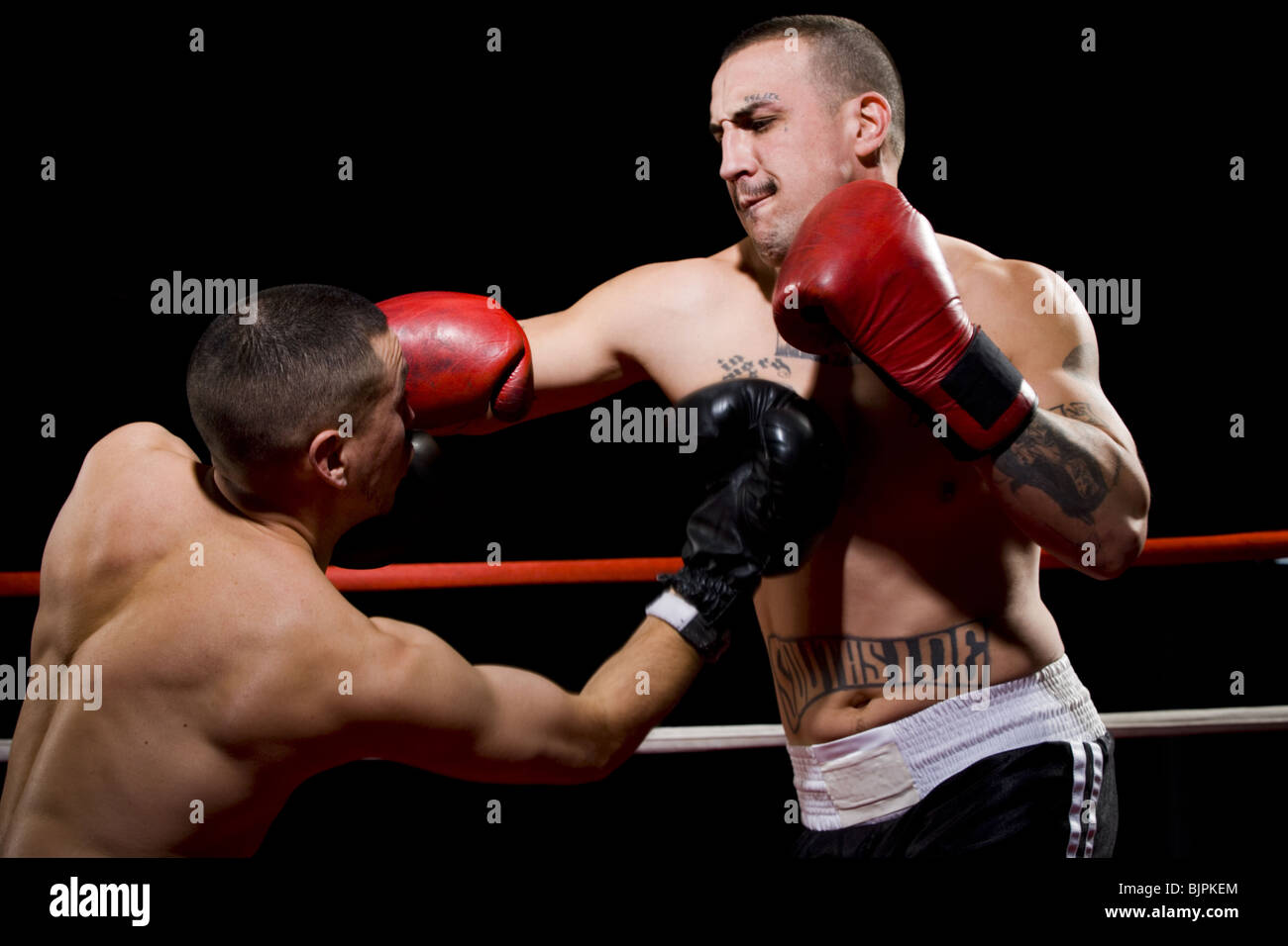 Afrikanische boxer -Fotos und -Bildmaterial in hoher Auflösung – Alamy