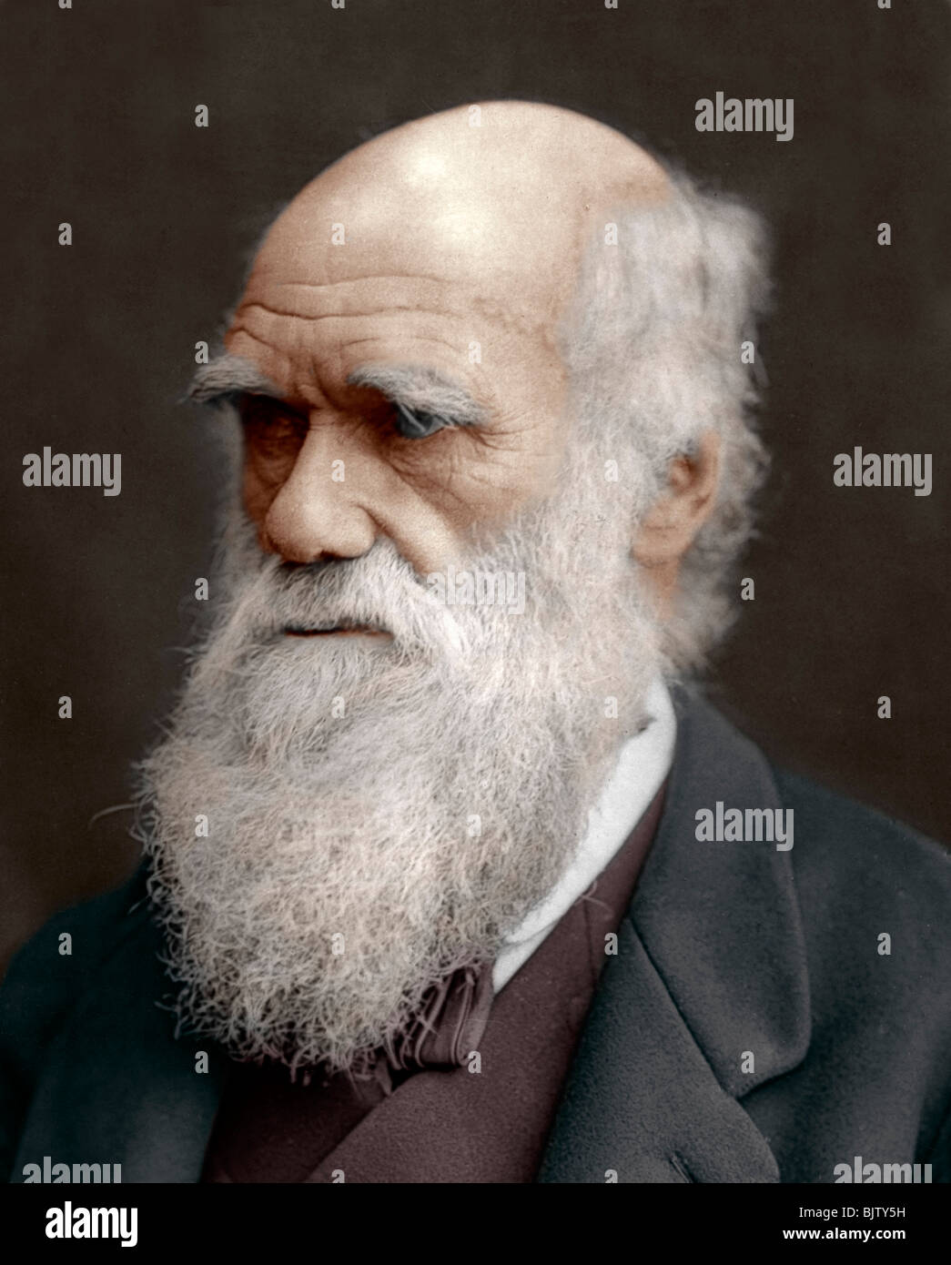 Darwin evolution -Fotos und -Bildmaterial in hoher Auflösung – Alamy Darwin evolution -Fotos und -Bildmaterial in hoher Auflösung – Alamy