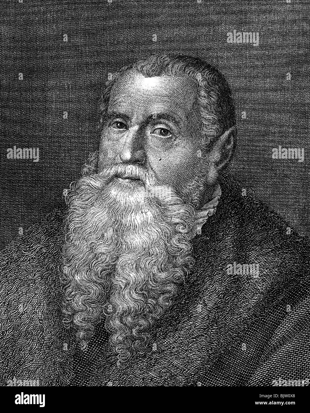 Portrait man lucas cranach elder -Fotos und -Bildmaterial in hoher ...