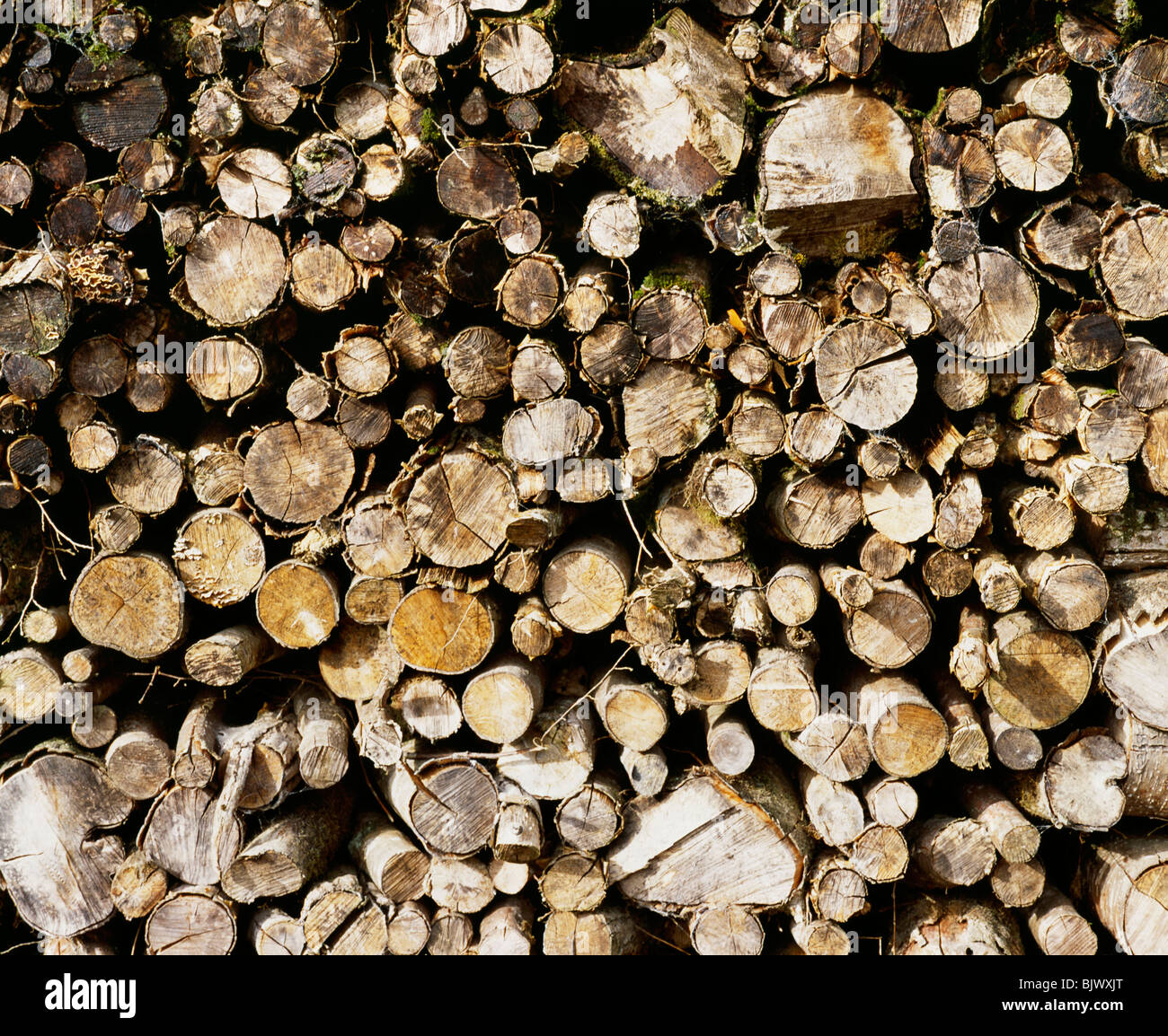 Pile of firewood -Fotos und -Bildmaterial in hoher Auflösung – Alamy