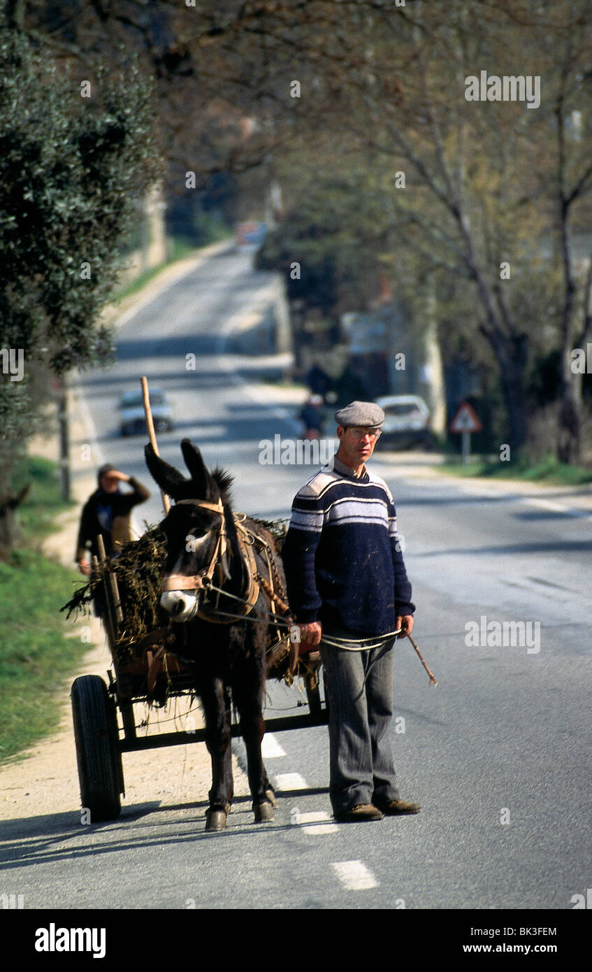 Esel gezogenes fahrzeug -Fotos und -Bildmaterial in hoher Auflösung – Alamy