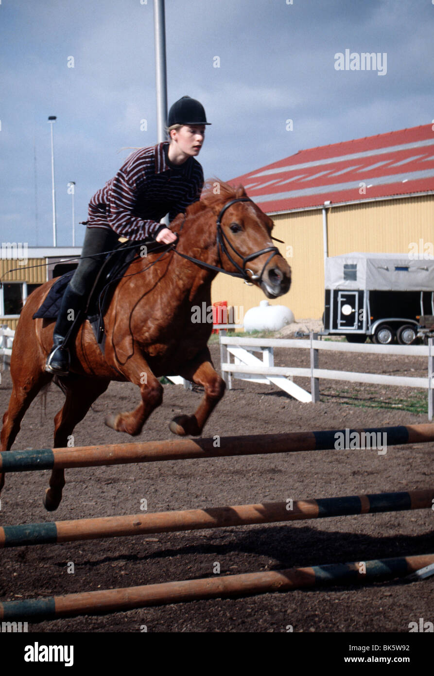 Weißes pferd springen -Fotos und -Bildmaterial in hoher Auflösung – Alamy
