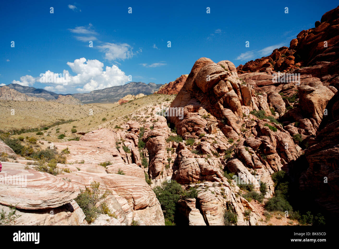 Roter canyon park -Fotos und -Bildmaterial in hoher Auflösung – Alamy
