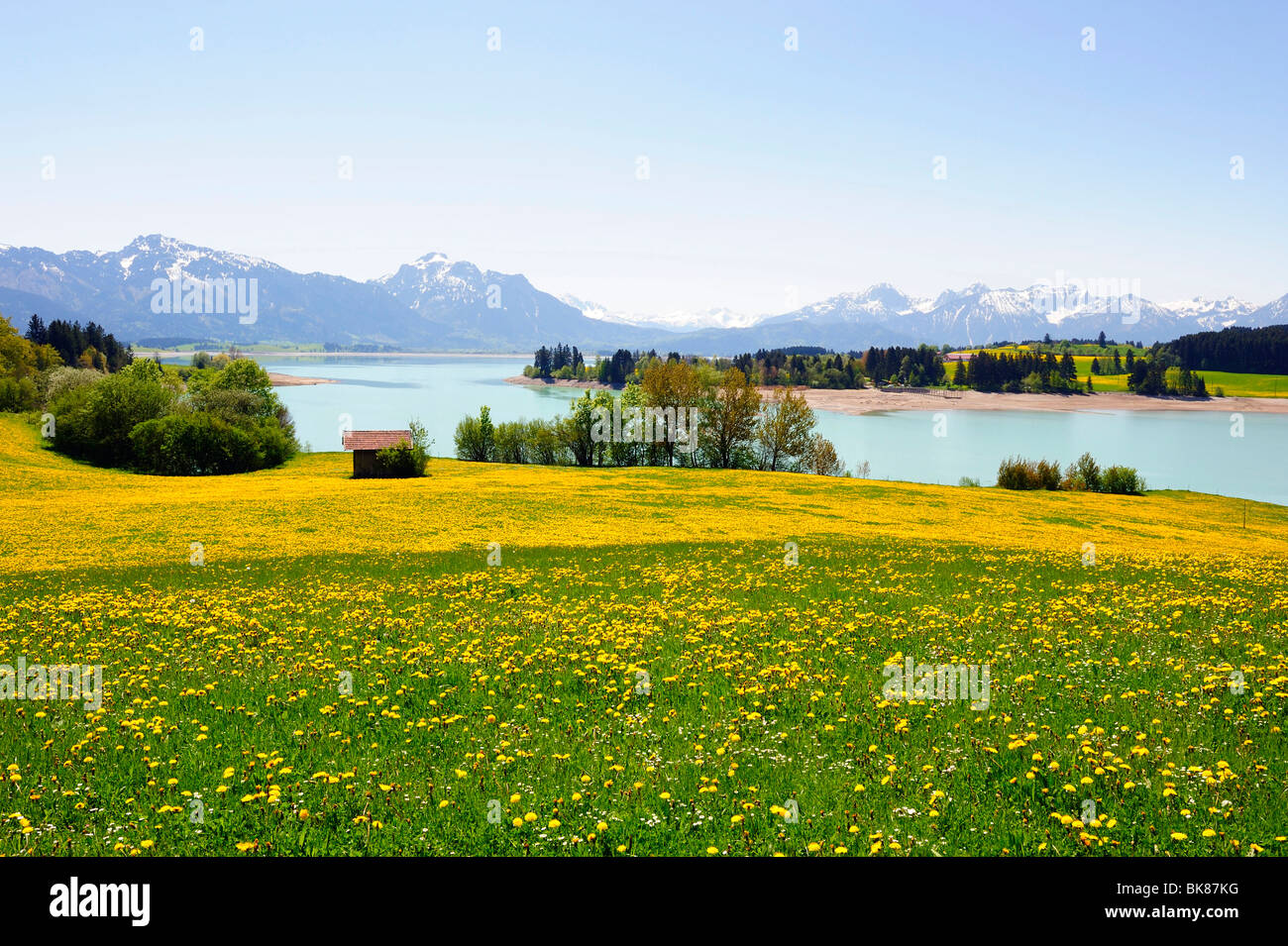 Forggensee-See in der Nähe von Füssen, Ost-Allgäu, Allgäu, Bayern ...