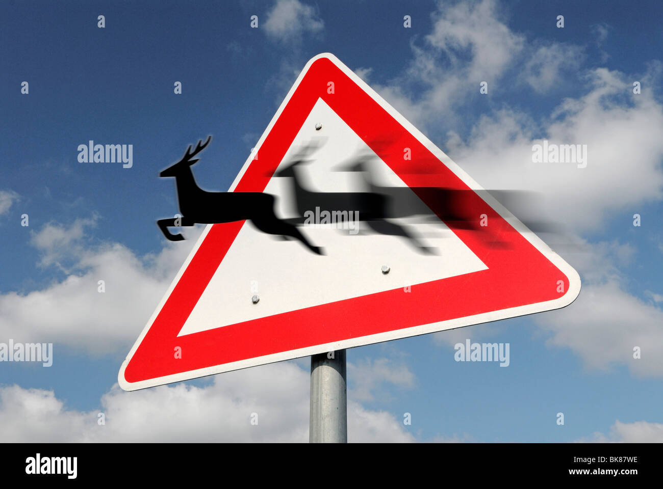Verkehrszeichen, Wildwechsel, Montage mit Bewegung Stockfotografie - Alamy