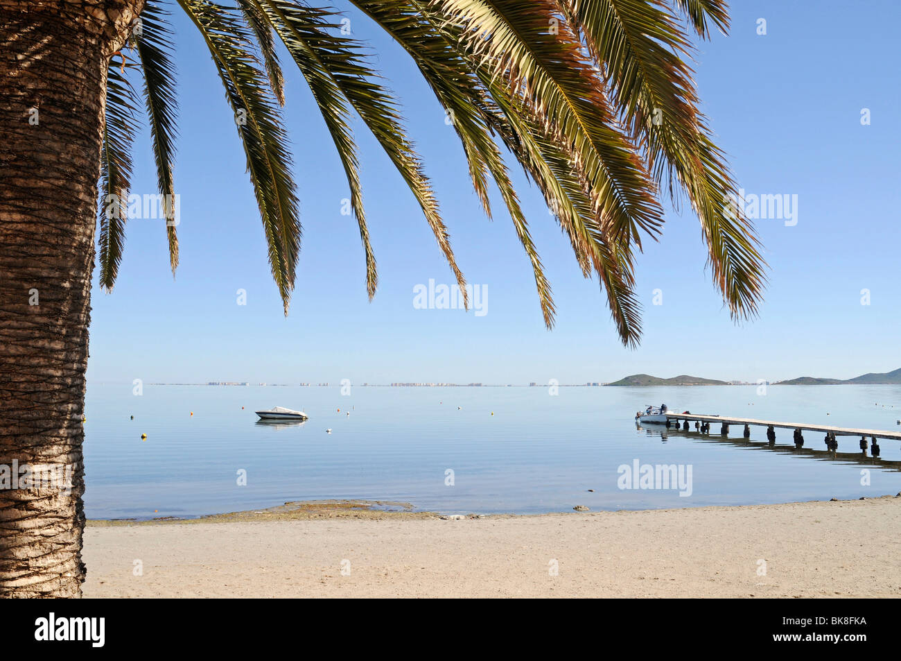 Palmen Sie Baum, Ufer, Idylle, Boot, Steg, Lagune und im Landesinneren ...