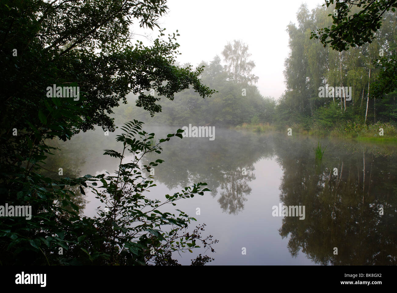 Am Fluss Weisser Regen in der Nähe von Hohenwarth, Lamer Winkel ...