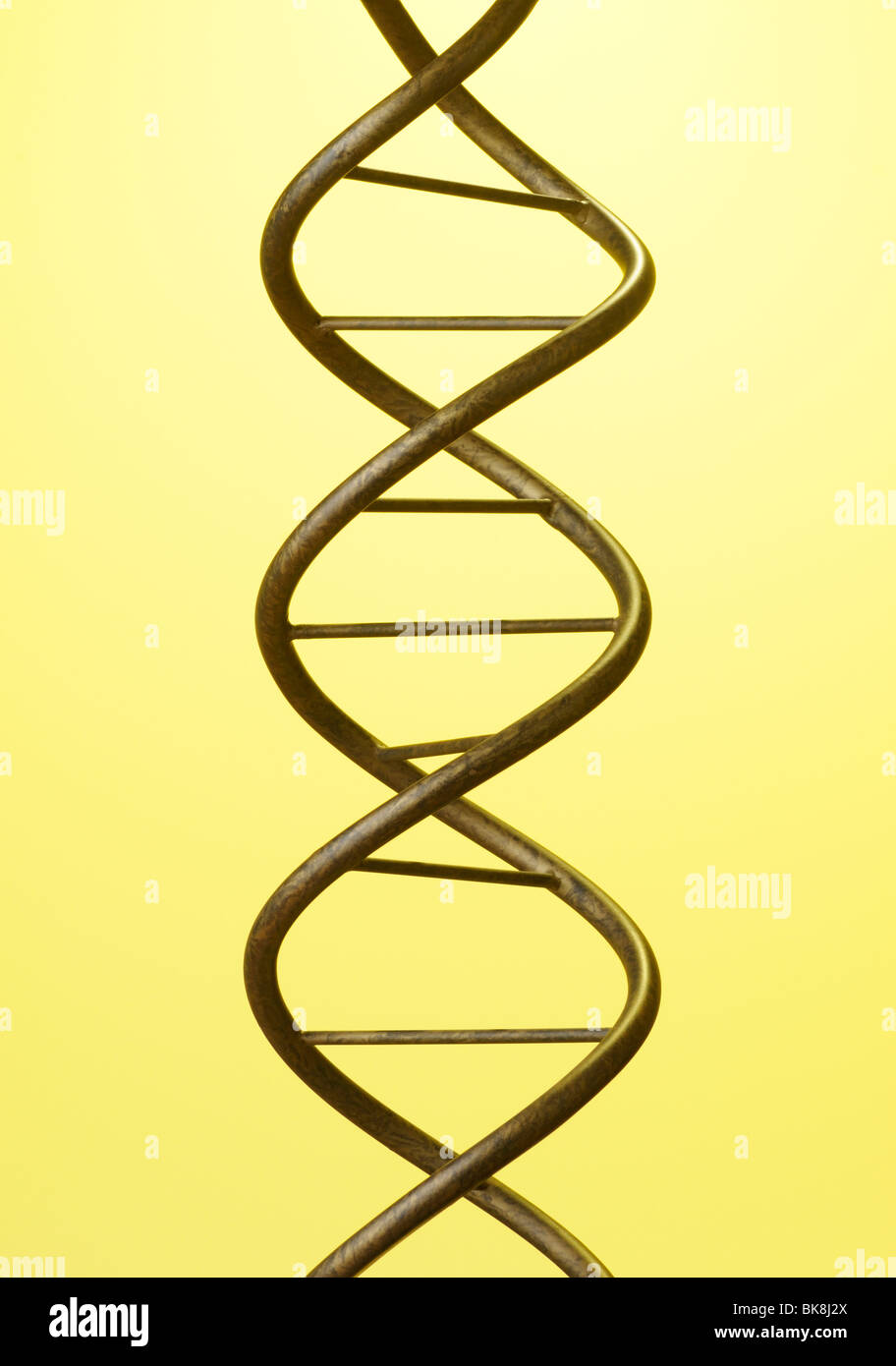Dna double helix -Fotos und -Bildmaterial in hoher Auflösung – Alamy