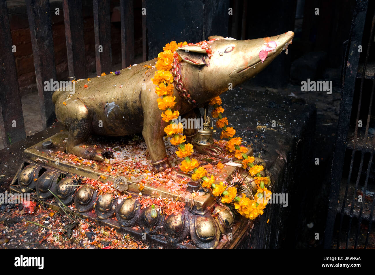 Goldene Spitzmaus, das Fahrzeug von Ganesh, Ashok Binyak Tempel, (Maru ...