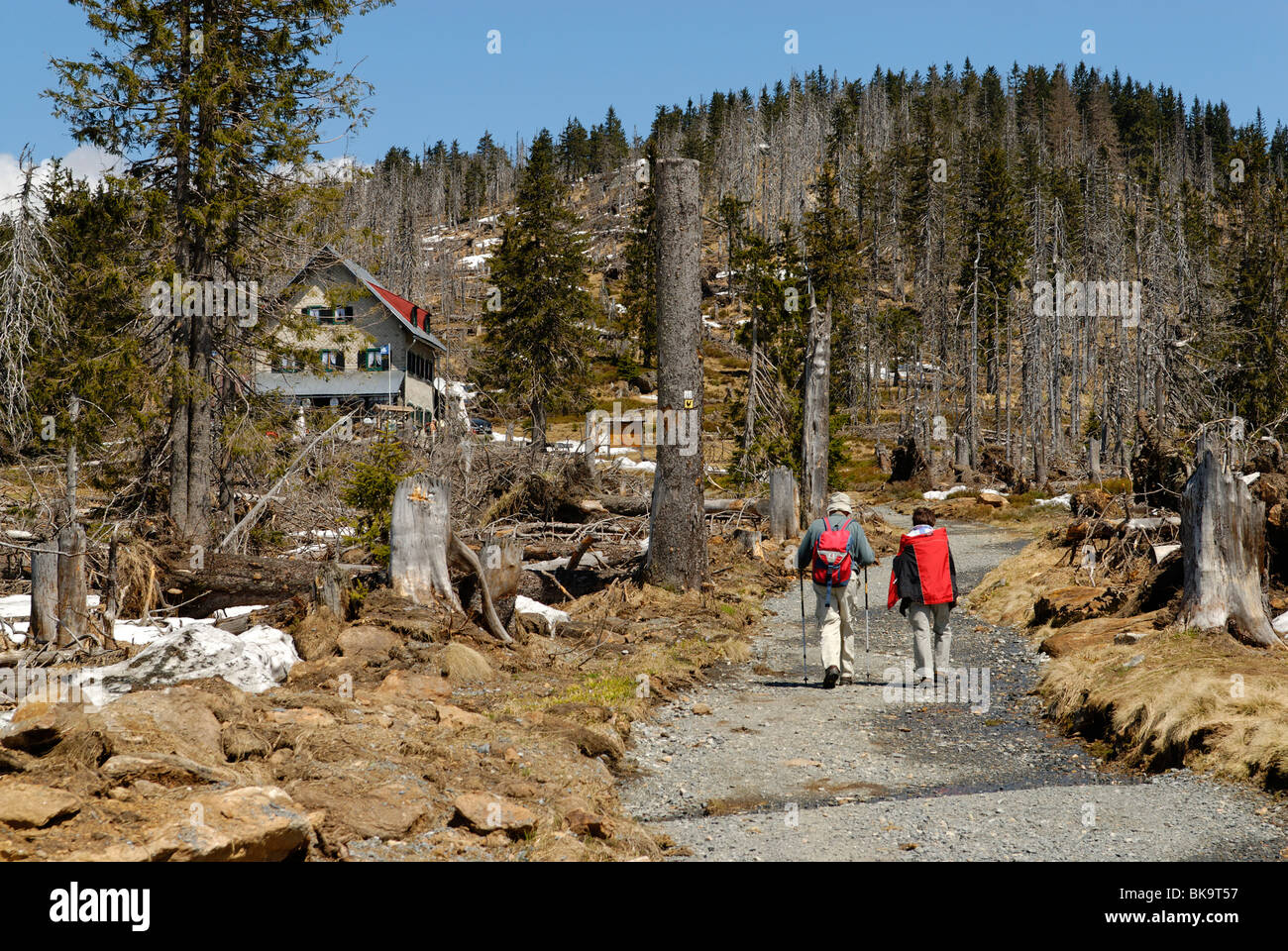 Rachel Berg, Nationalpark Bayerischer Wald, Nationalpark Bayerischer ...