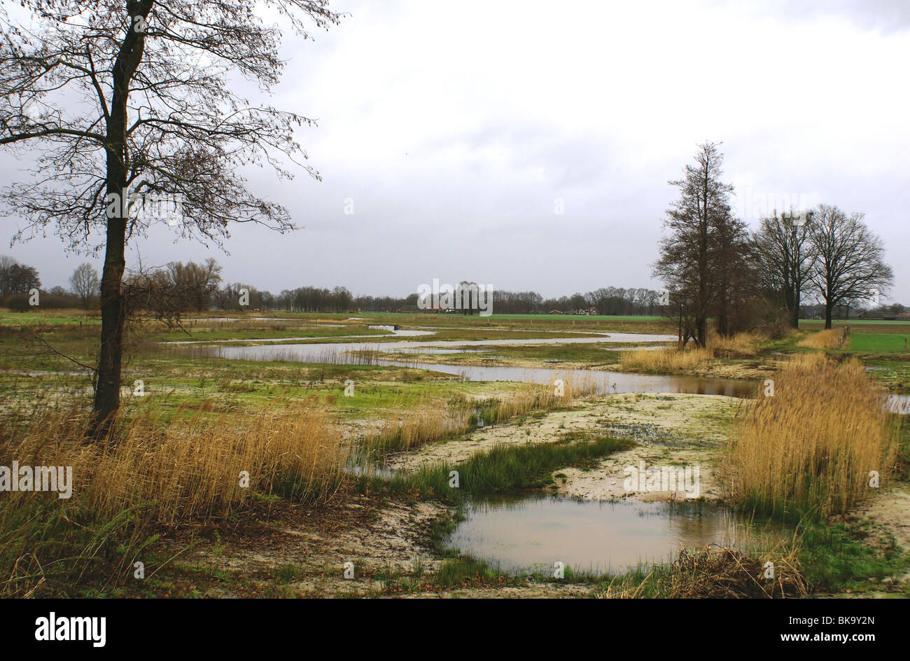 Een nieuw gegraven -Fotos und -Bildmaterial in hoher Auflösung – Alamy