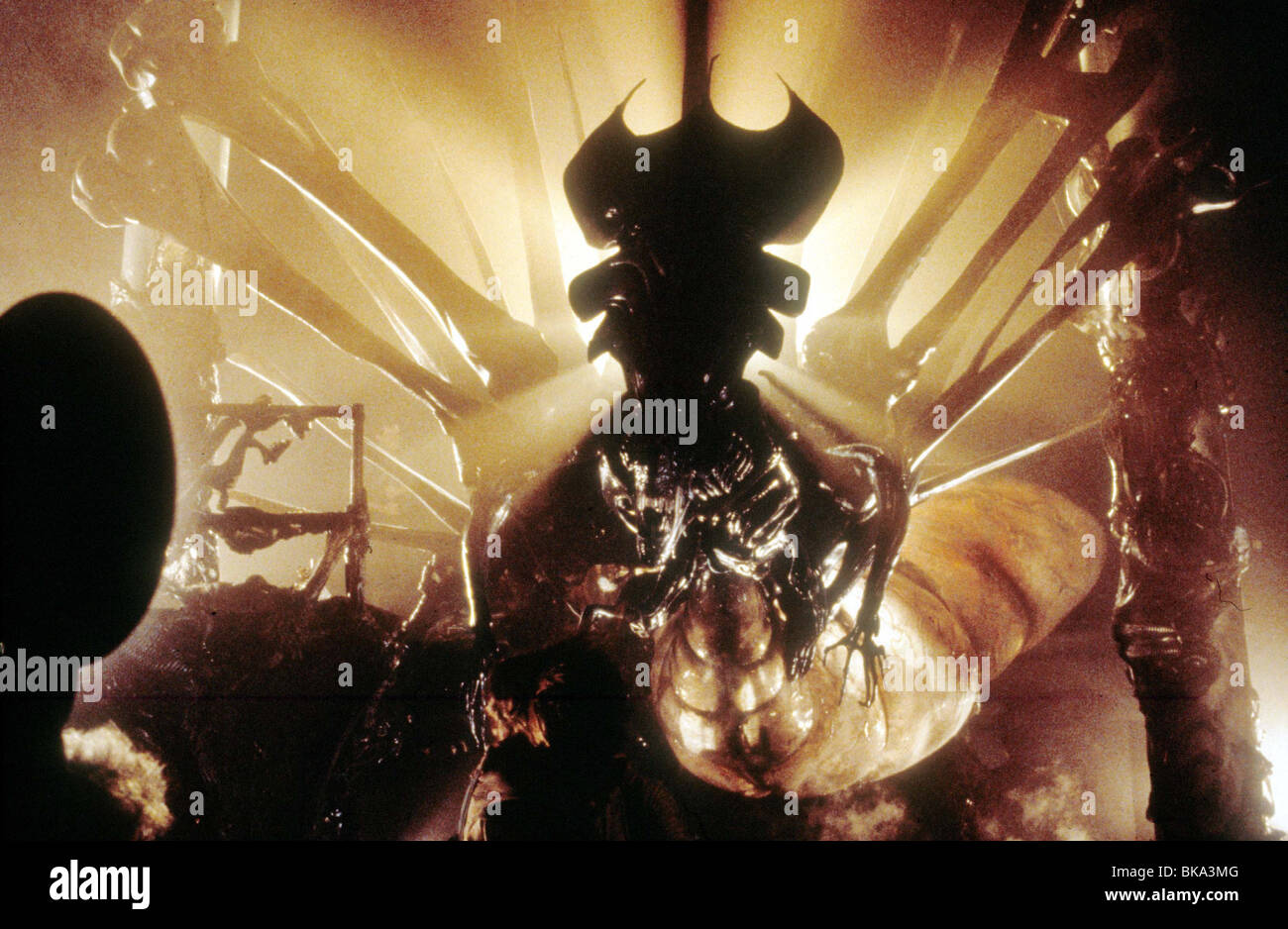 1986 movies -Fotos und -Bildmaterial in hoher Auflösung – Alamy