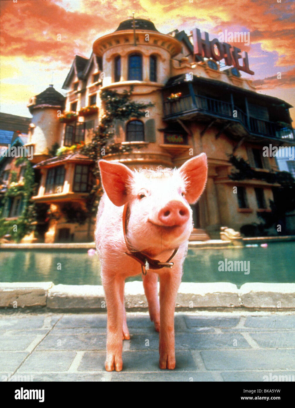 BABE: PIG IN THE CITY-1998 Stockfotografie - Alamy